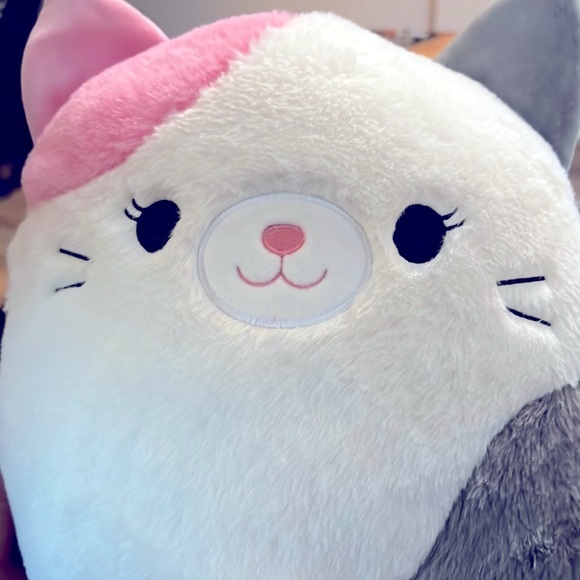 Squishmallows | Toys | 2 Fuzzy Karina The Cat Squishmallows Plush ...